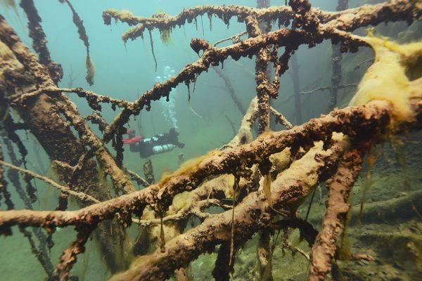 Gilboa Quarry – The Midwest Premier Scuba Diving & Adventure Center!