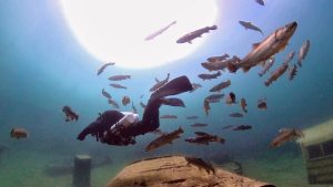 Home - Gilboa Quarry